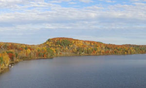 Rod's Creative – Rod MacPherson's online creative endeavors